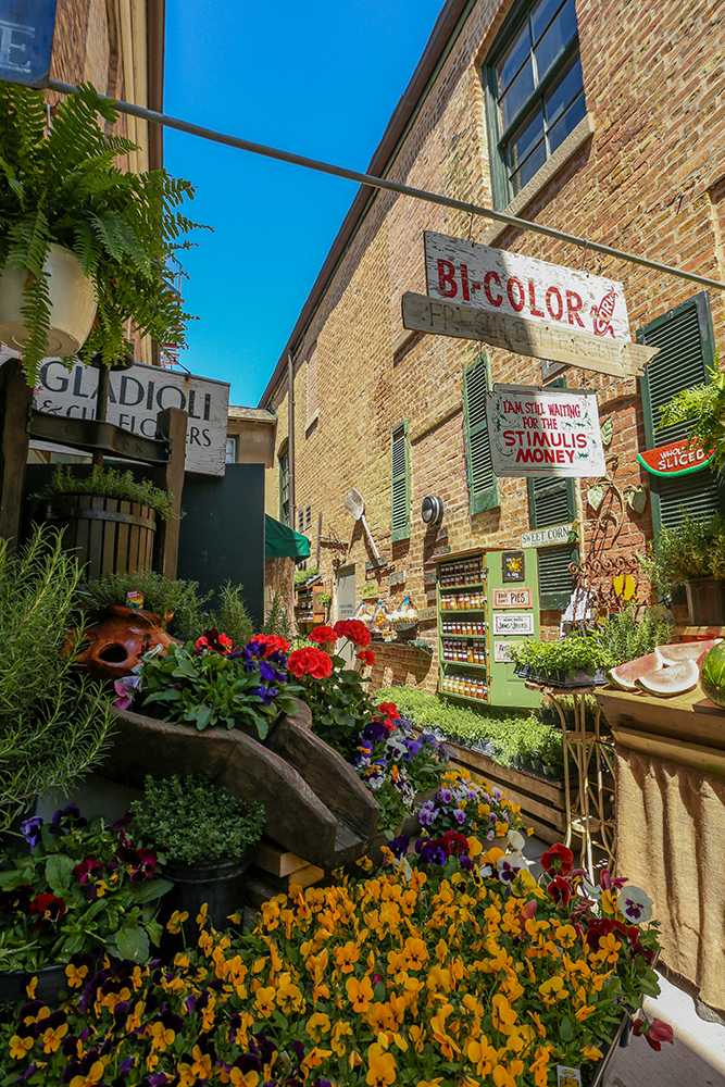 Market Square. Historic. Iconic. Inspired. Since 1916. Lake Forest ...